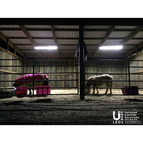 2 Horse Stable Solar LED Lighting Kit – Uneek LEDs